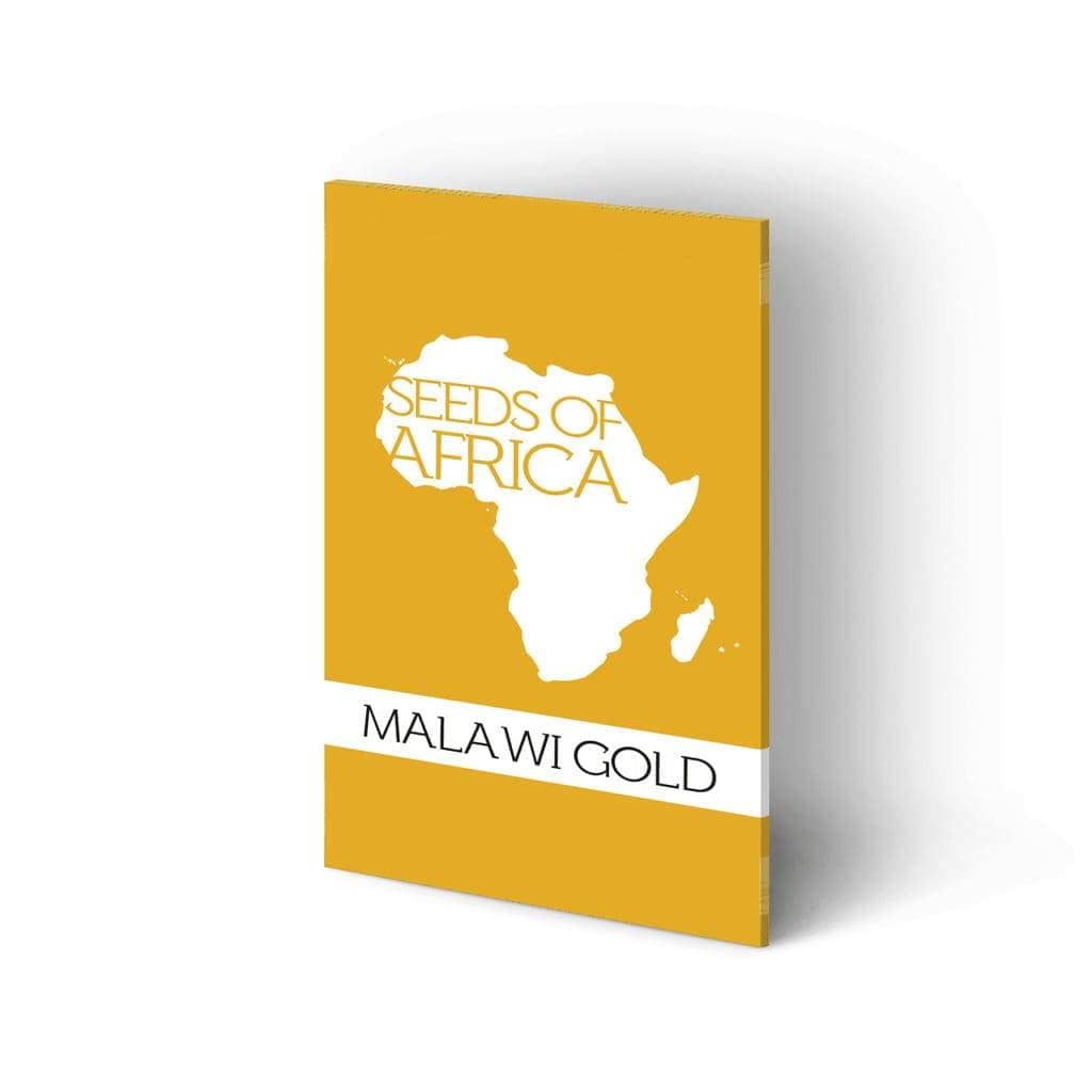 Malawi Gold Cannabis Seeds | Seeds of Africa | Regular Sativa ...